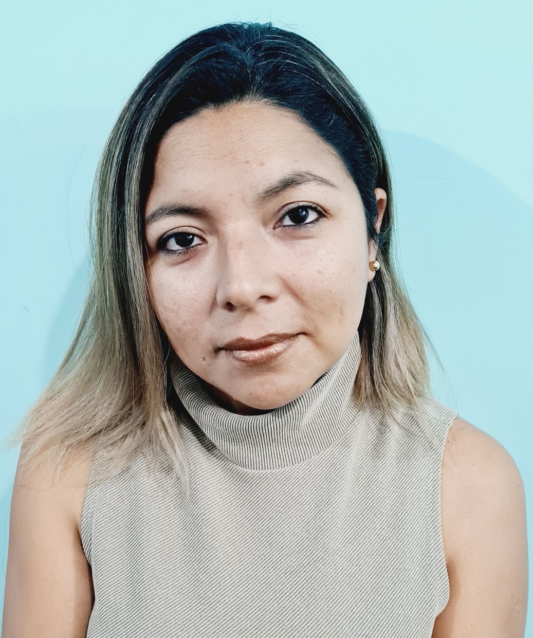 PROFESORES/AS JEFES EDUCACIÓN BÁSICA – Colegio Andino | Arica – Chile